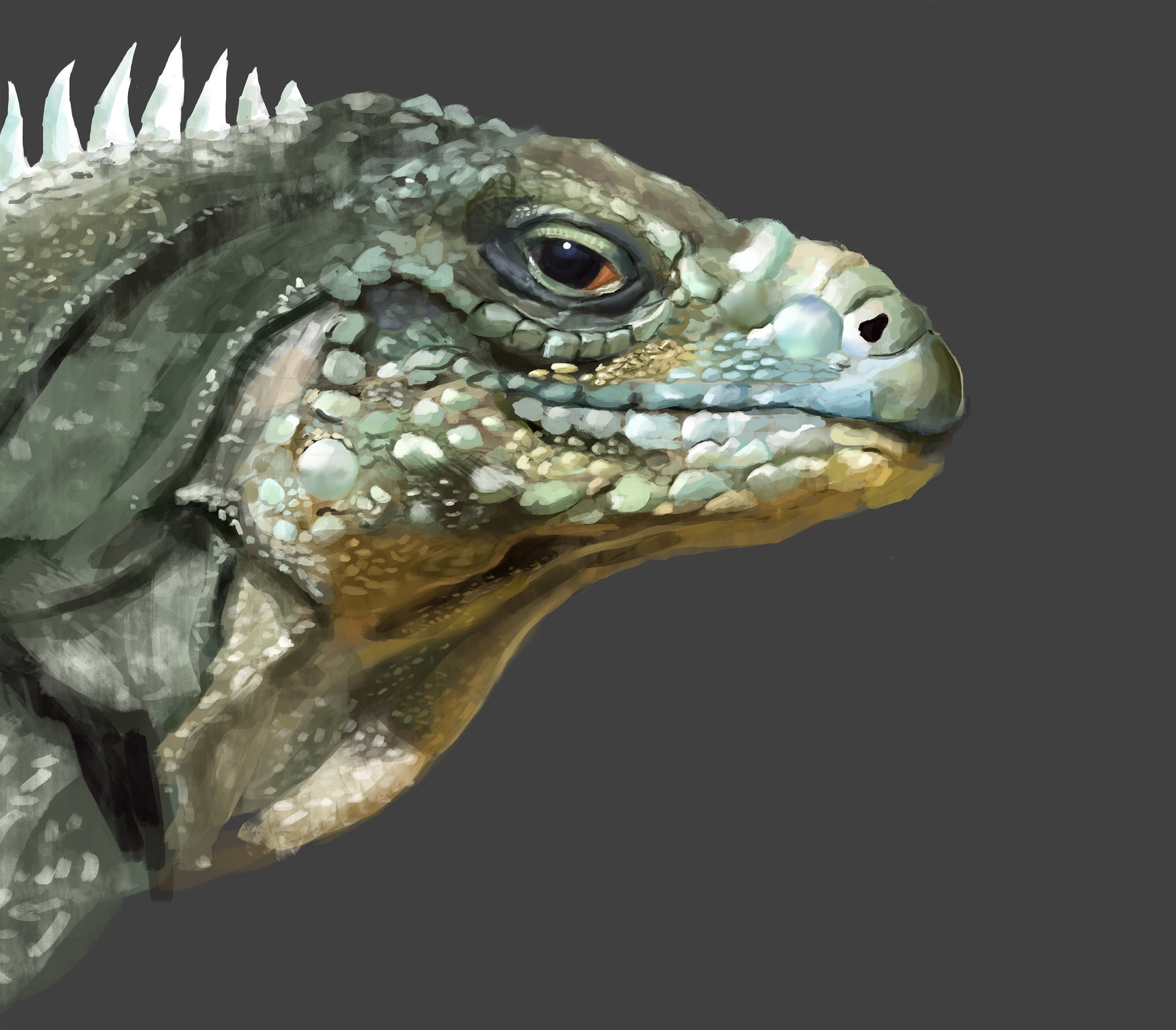ArtStation - Lizard Study