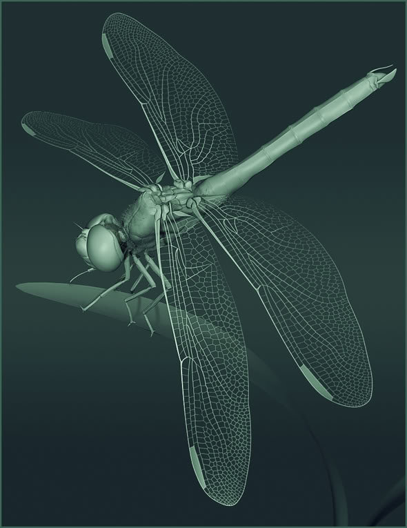 ArtStation - Skimmer