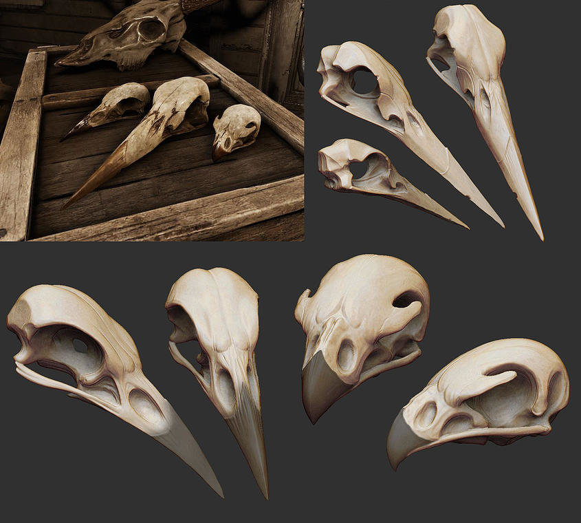 ArtStation - BirdSkulls