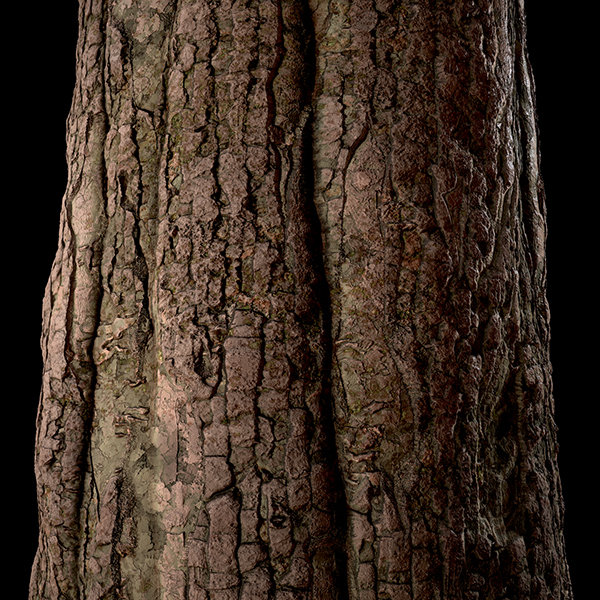 ArtStation - Substance - Tree Bark 1