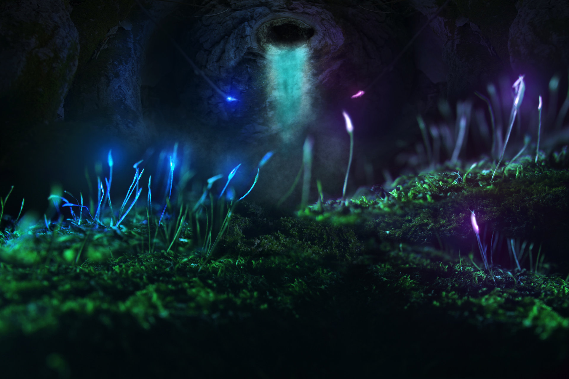 ArtStation - The Source