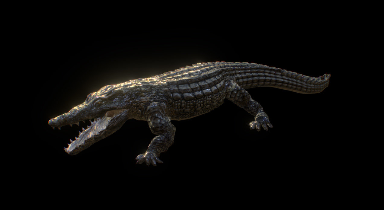 ArtStation - a mid/low poly Crocodile // simple walk animation