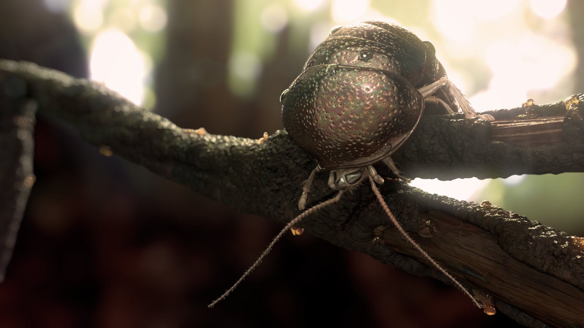 ArtStation - Pill Cockroach Insect