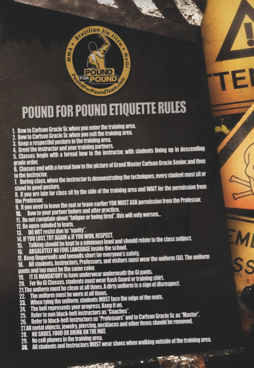 ArtStation - Poster regras Pound for Pound Alemanha