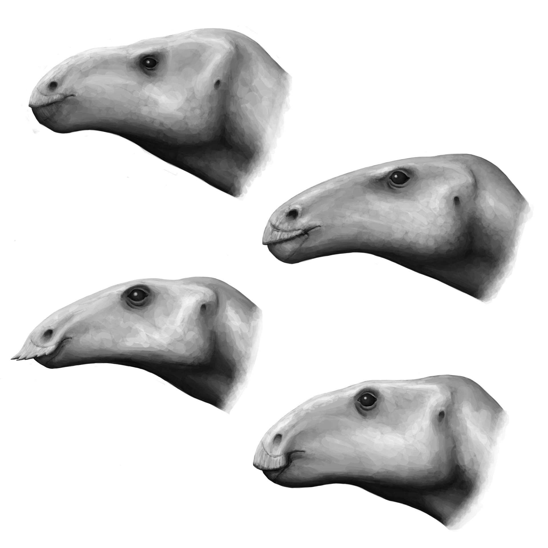 ArtStation - Iguanodontids and Hadrosauroids