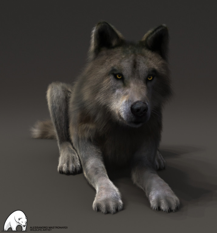 ArtStation - Another wolf WIP