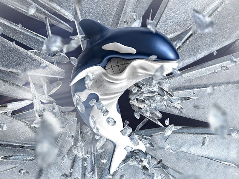 Tomislav Zvonaric - Canucks Killer Whale