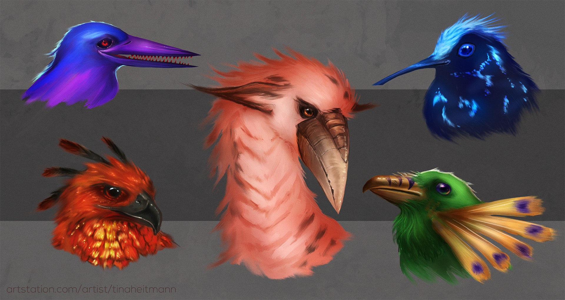 ArtStation - Fantasy Birds, Tina Heitmann