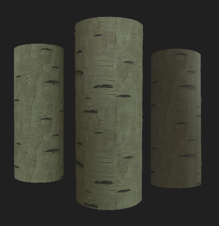 ArtStation - Procedural Birch Tree Bark Tileable Material