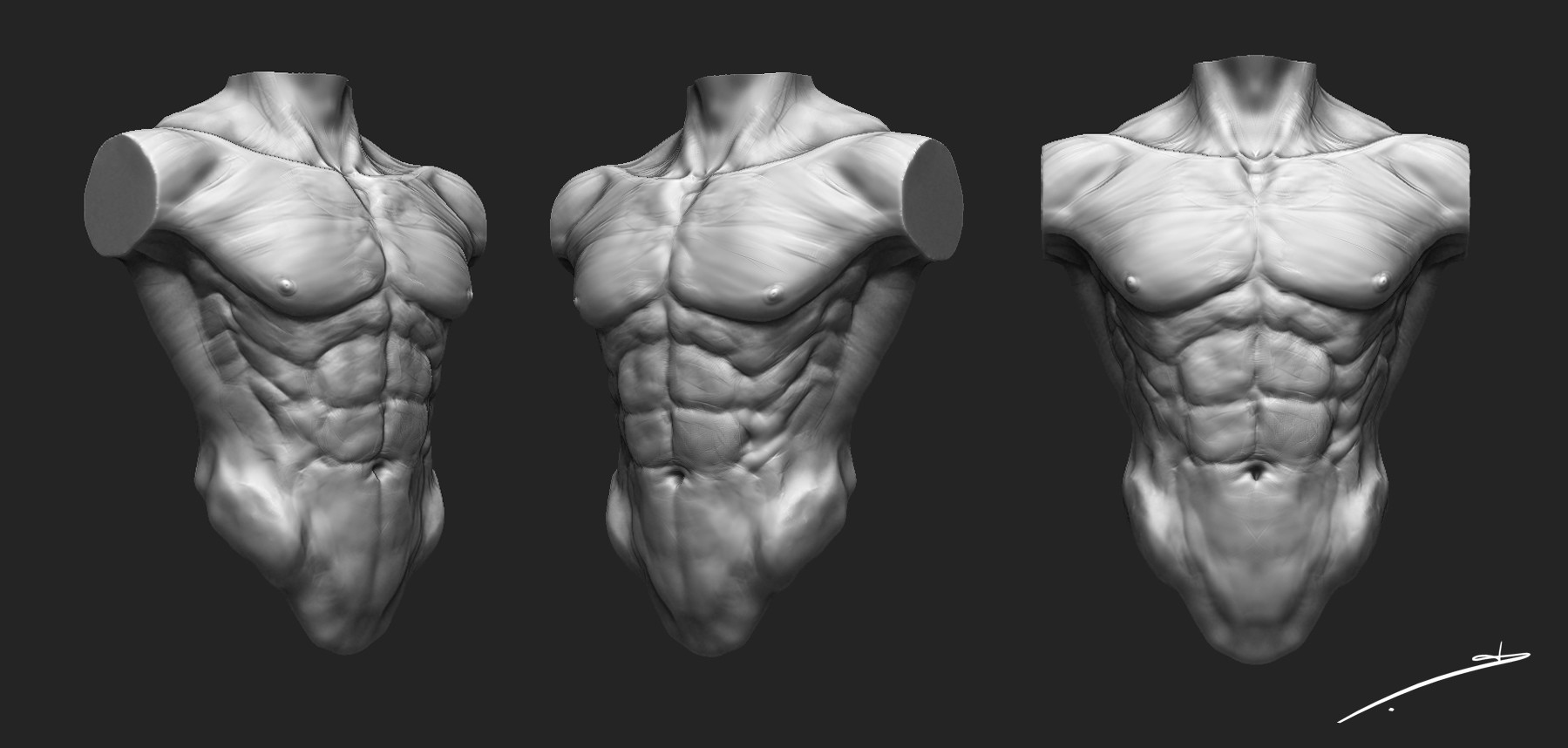 ArtStation - Human Torso