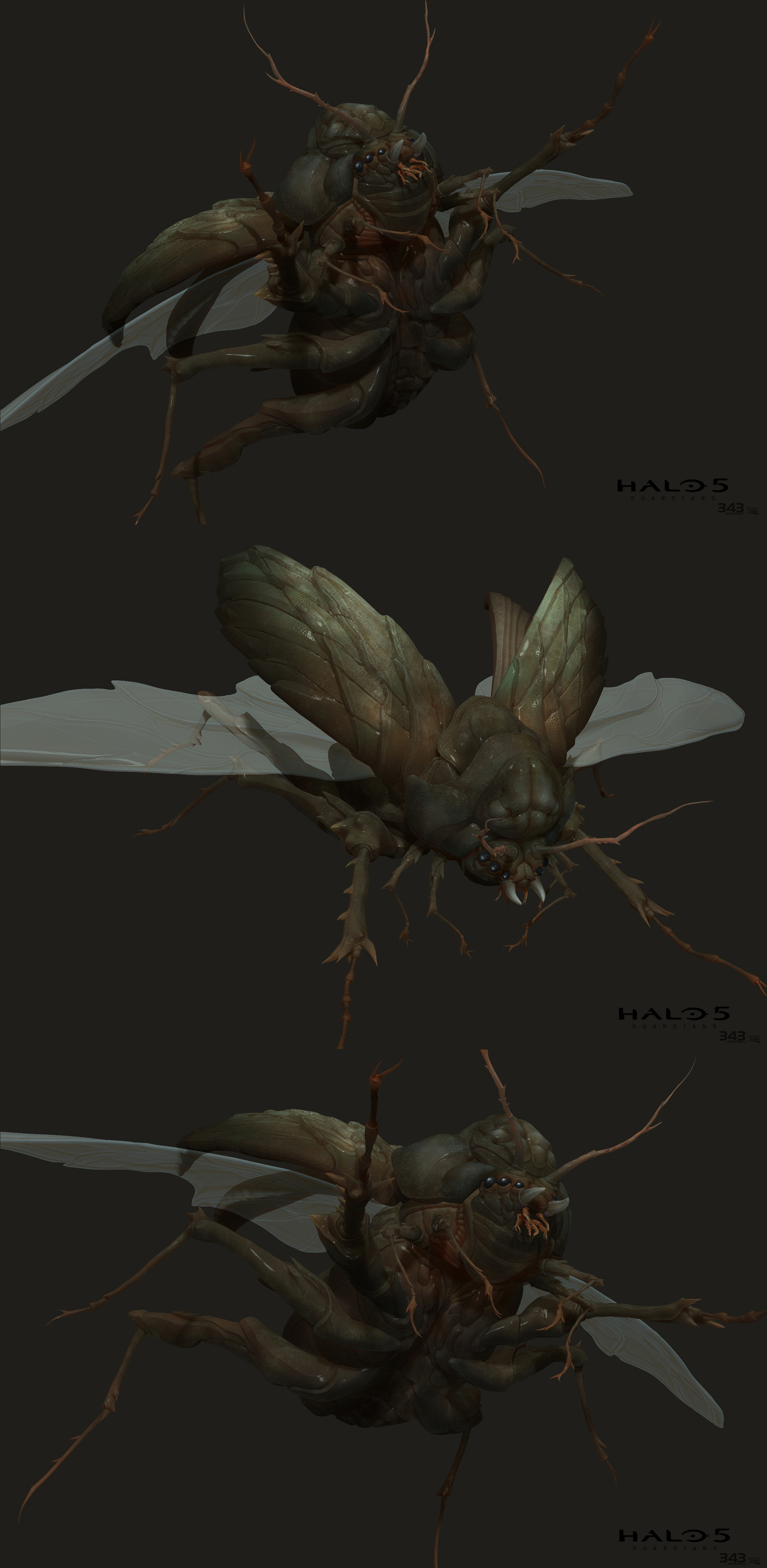 ArtStation - Halo 5: Guardians | Organic Creature, Beetle High Poly