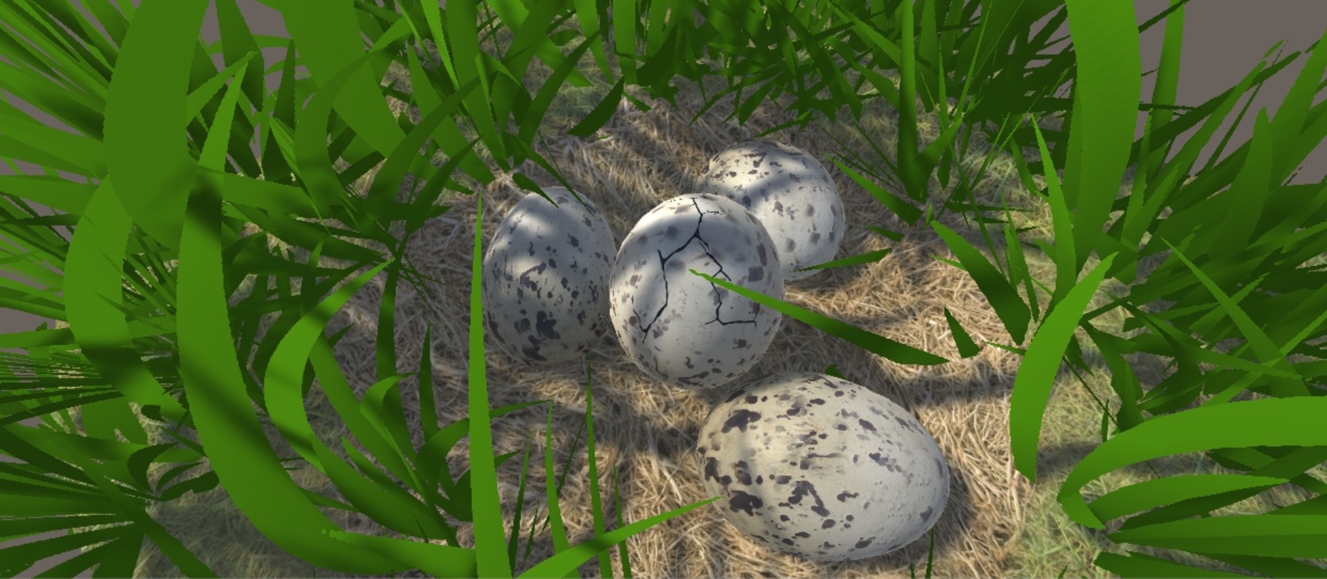 ArtStation - Godwit eggs