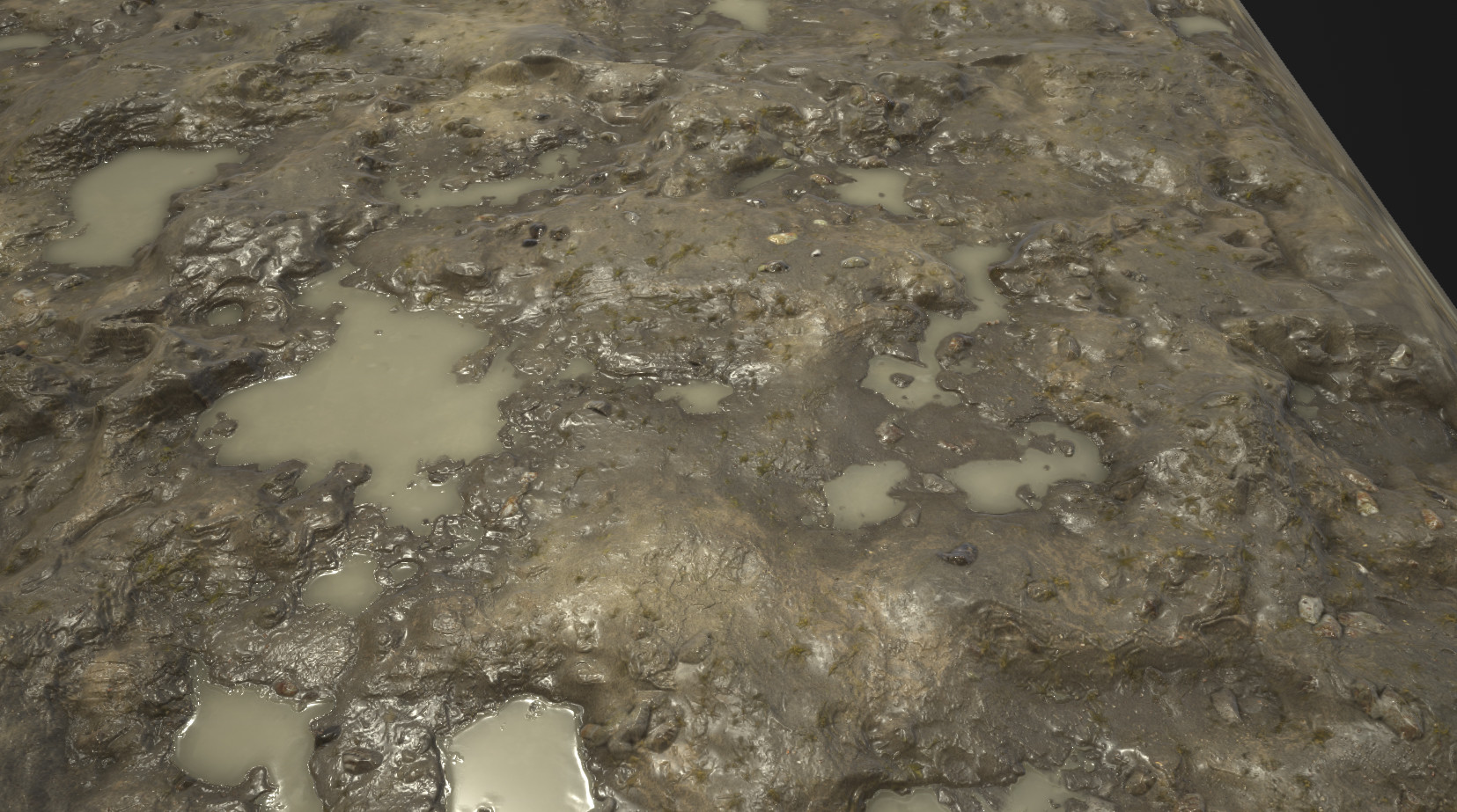 ArtStation - Substance_Designer - 100% procedural Muddy Ground