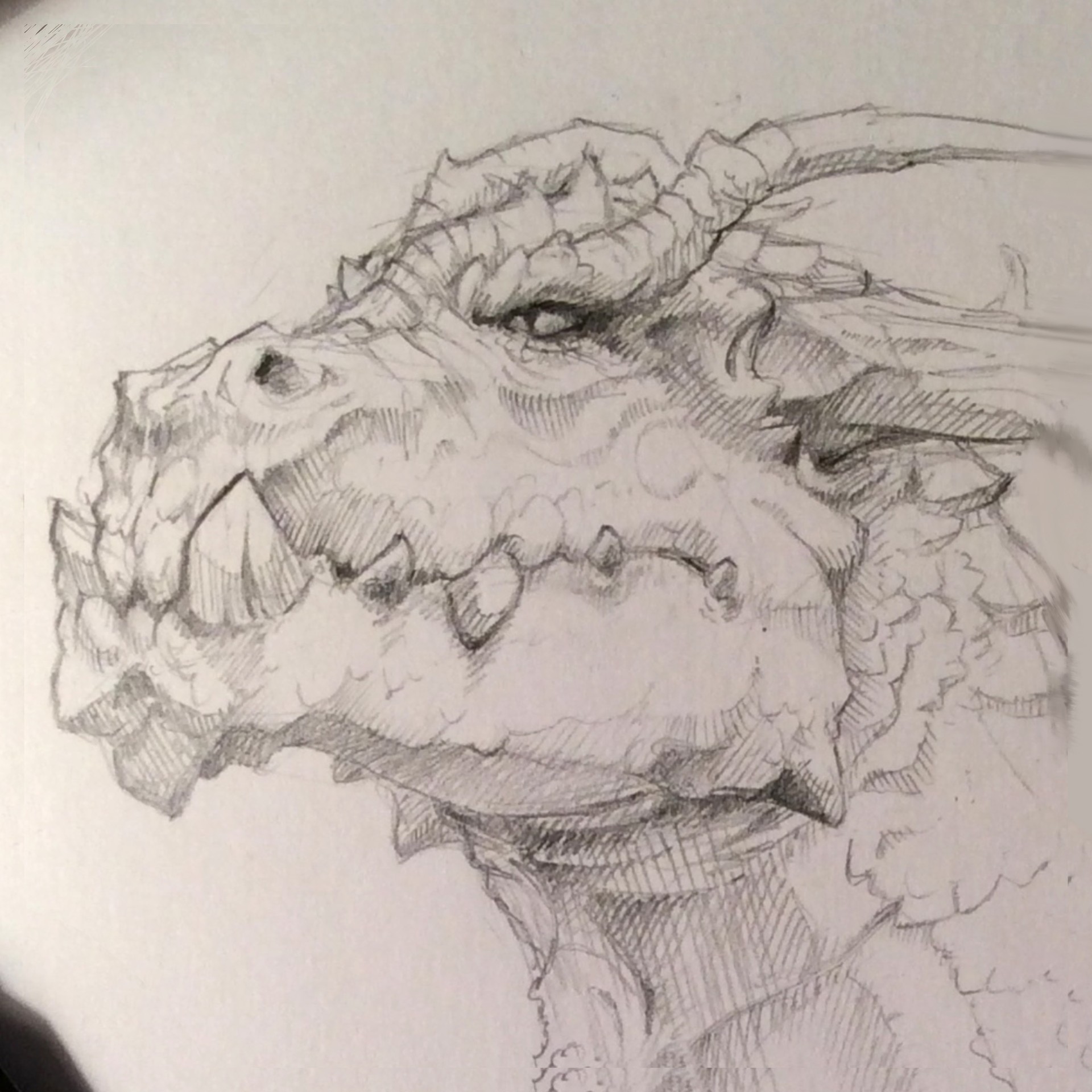 ArtStation - WISE DRAGON