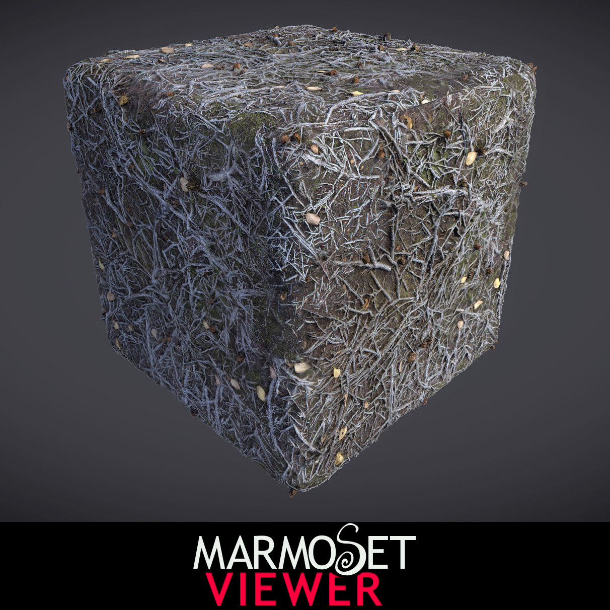 ArtStation - #10 Photogrammetry Texture : Forest Ground 02