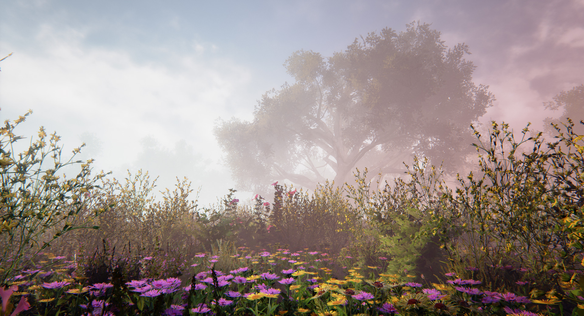 ArtStation - Flowers and Fog