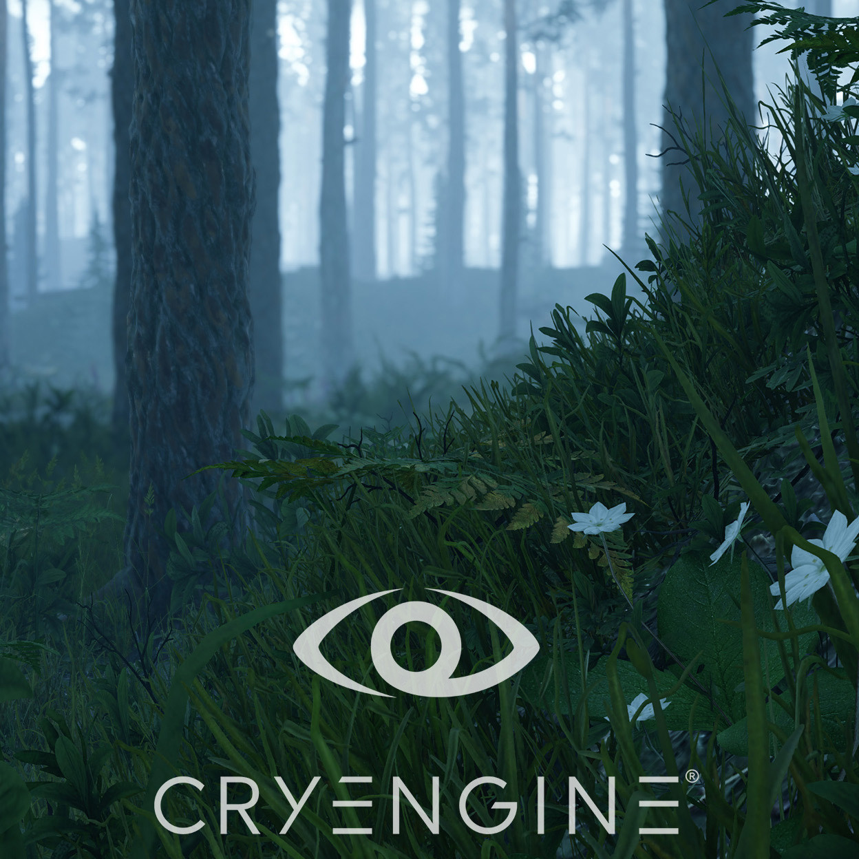 ArtStation - Misty Pine Forest (Cryengine 3)