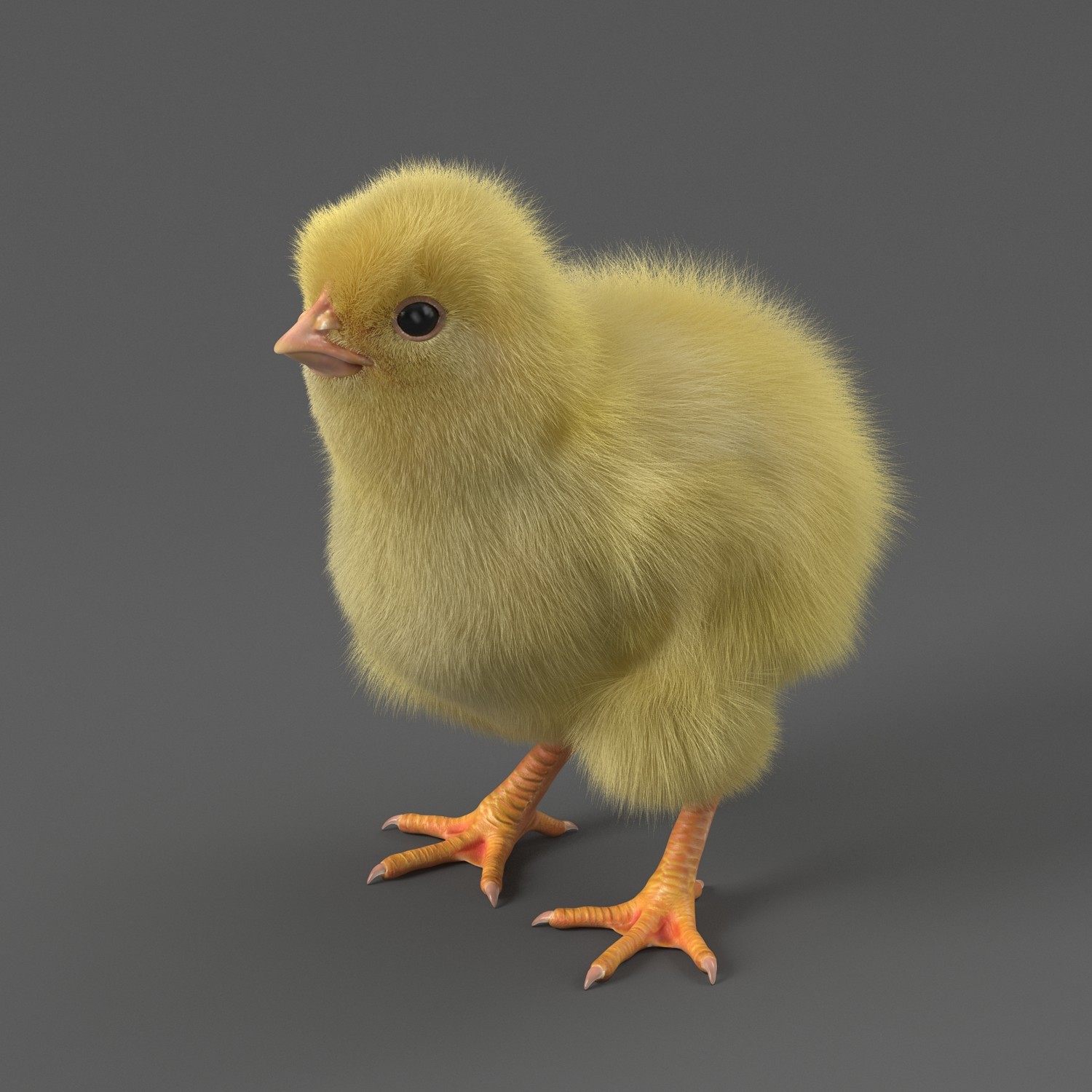 ArtStation - Chick