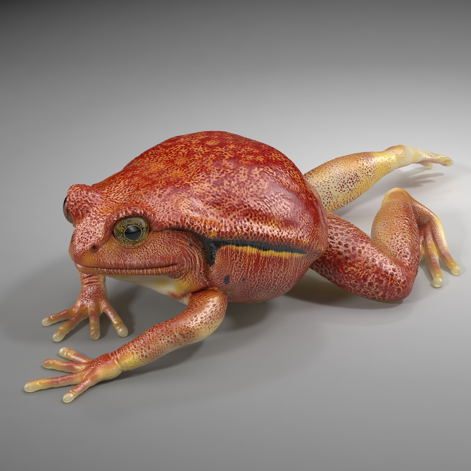ArtStation - Tomato_Frog