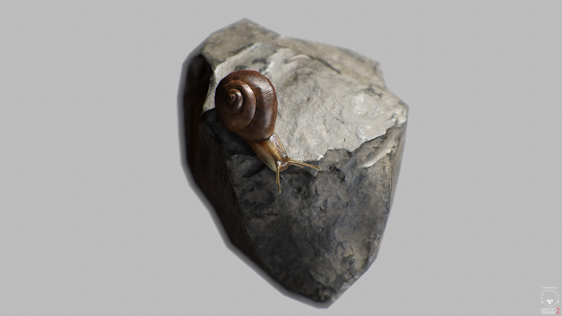 ArtStation - Snail and Rock