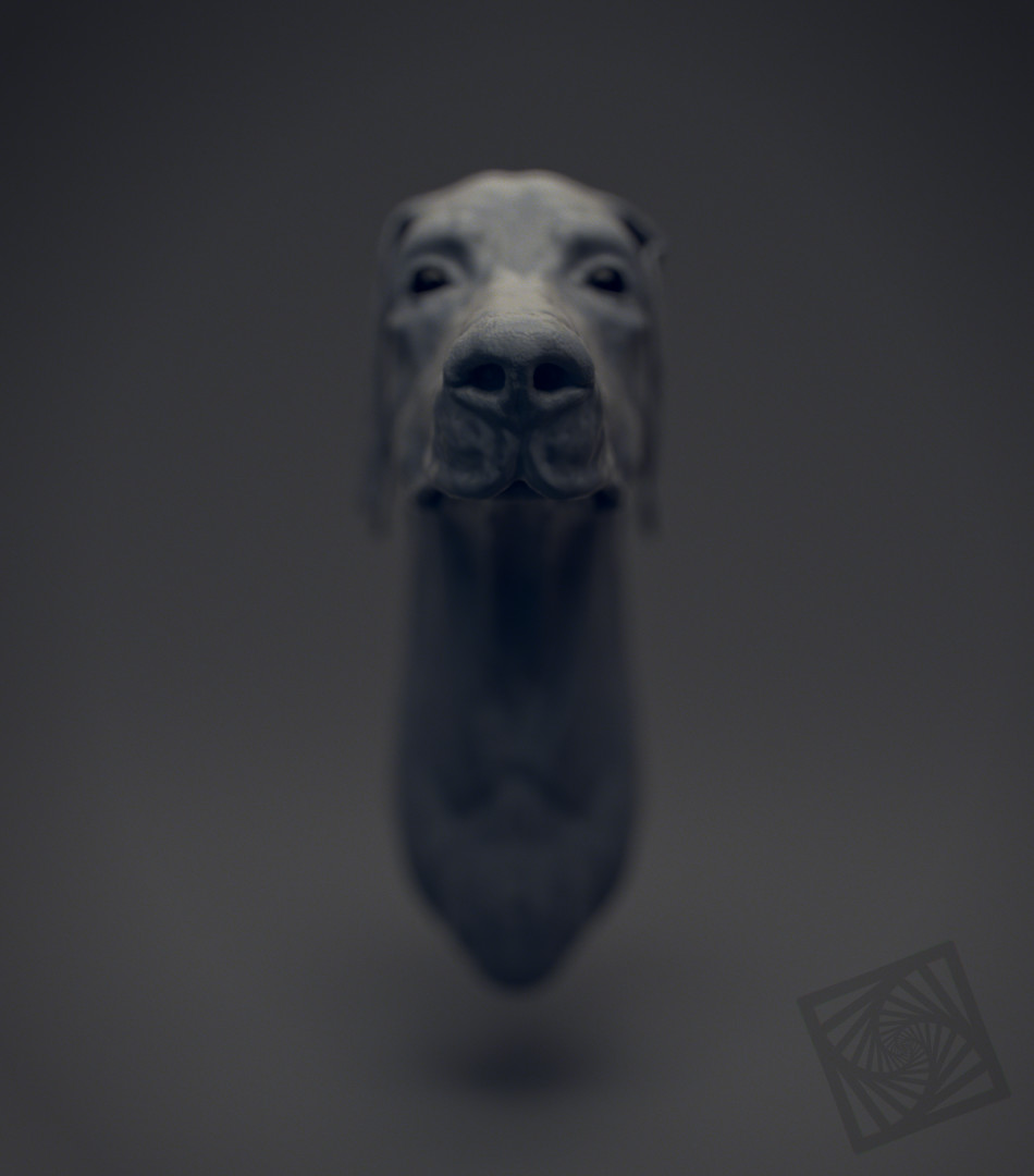 ArtStation - Skype the dog