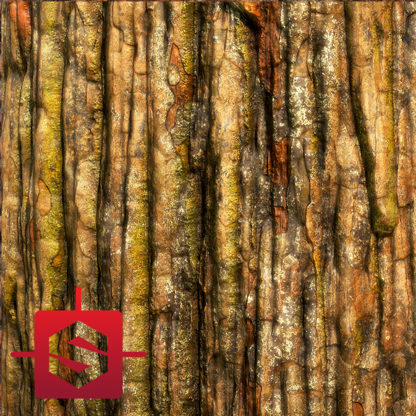 ArtStation - Substance Designer - Tree Bark