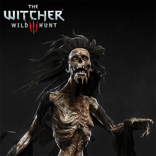 Marcin Blaszczak - The Witcher III - Nightwraith