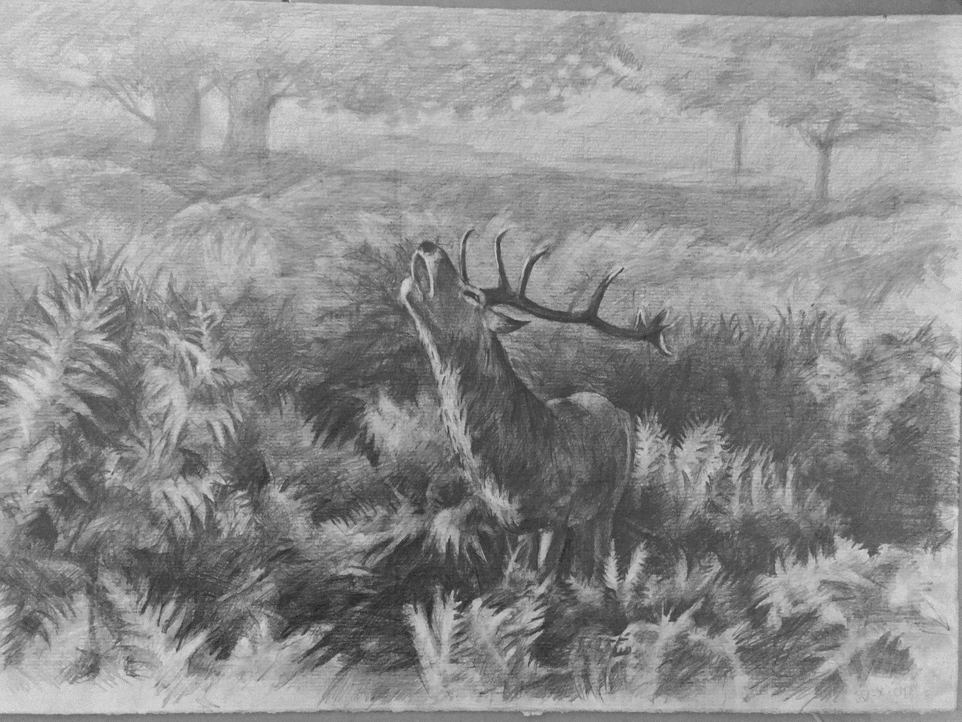 ArtStation - Pencil sketches practices