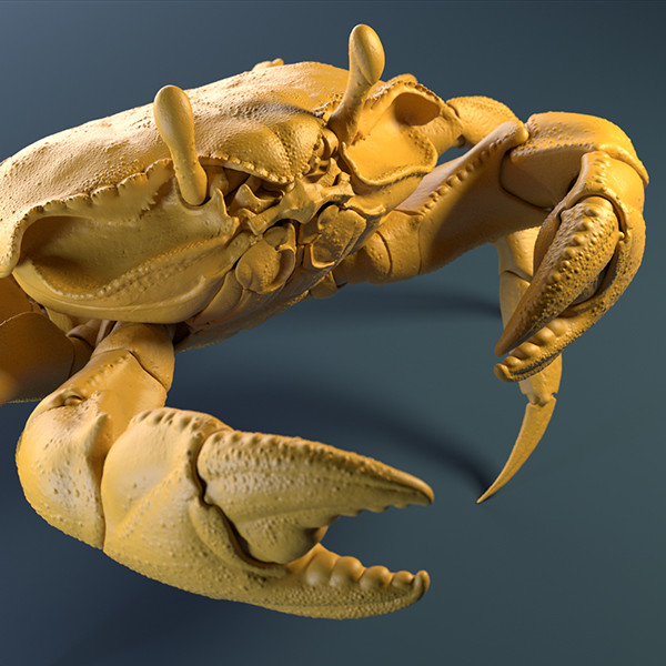 ArtStation - Crab - WIP