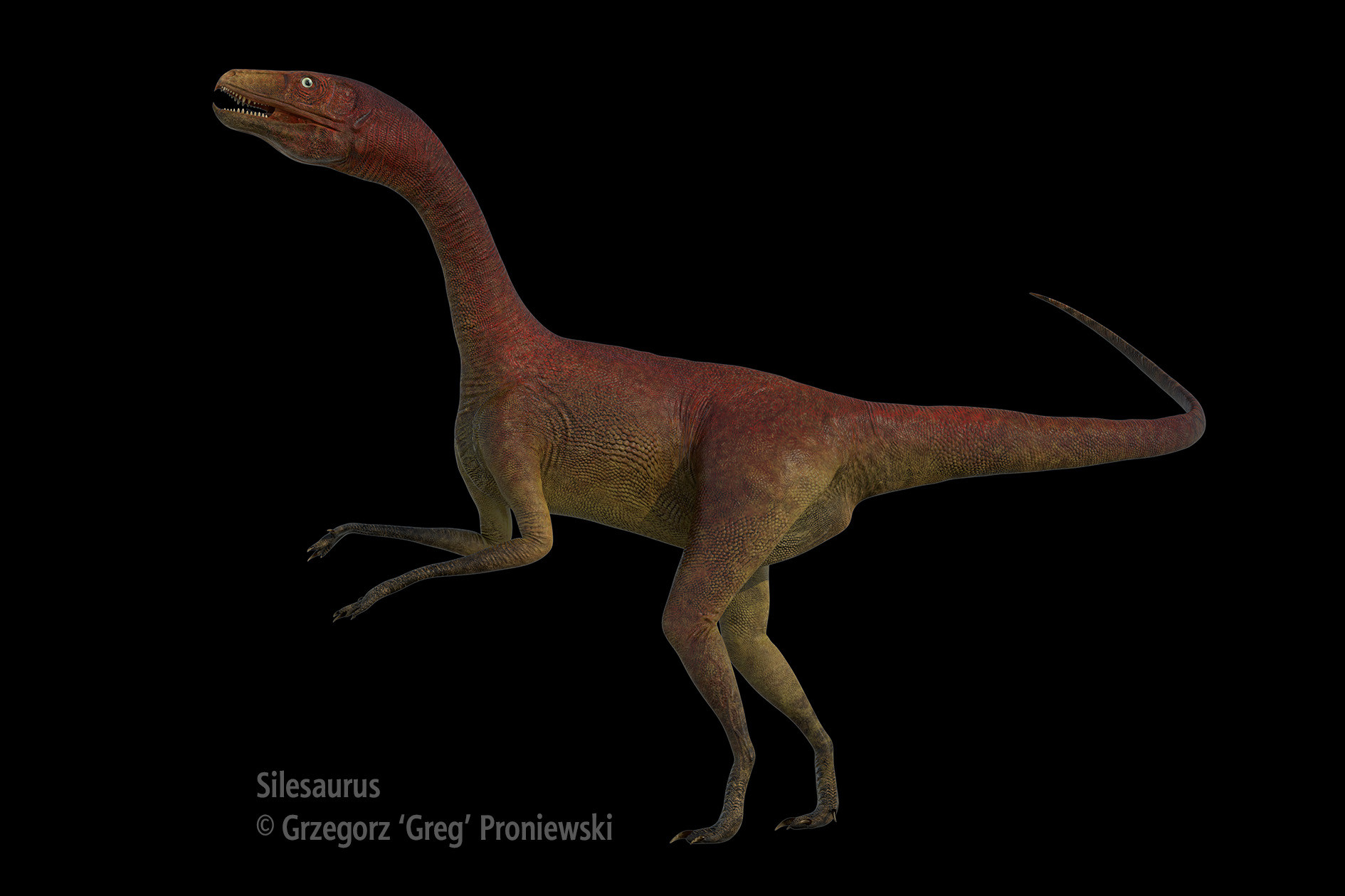 ArtStation - Silesaurus
