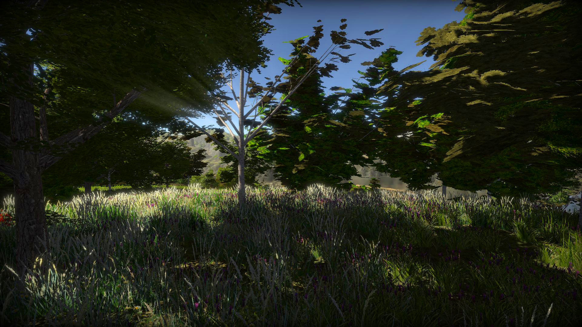 ArtStation - Unity Environment