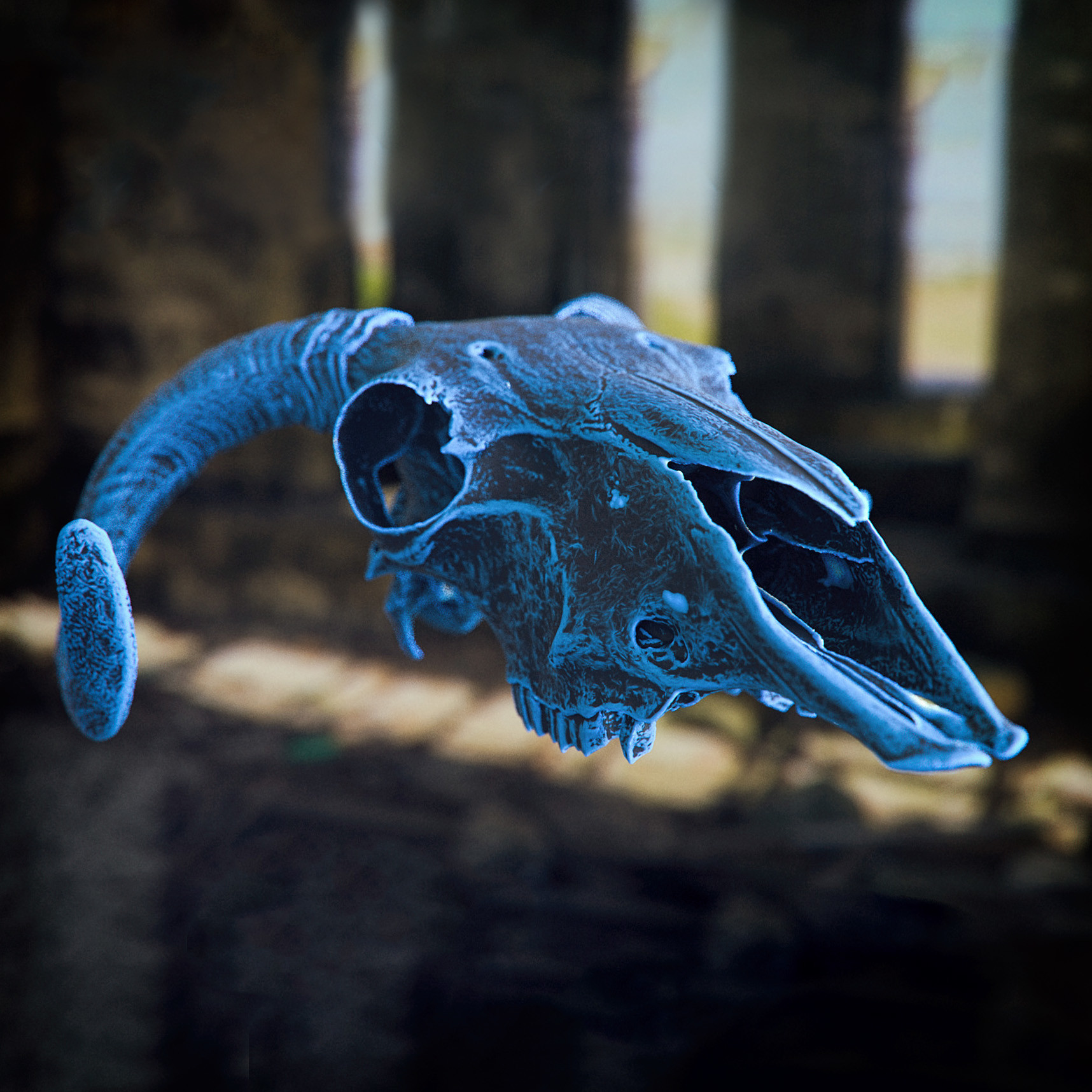 ArtStation - Ram Skull