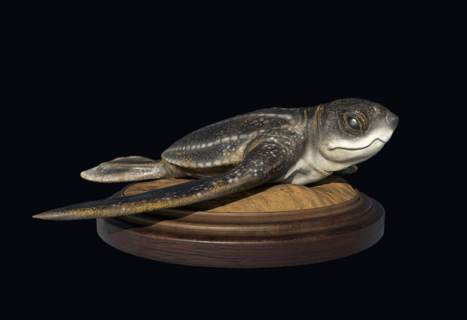ArtStation - Baby Leatherback Turtle - WIP