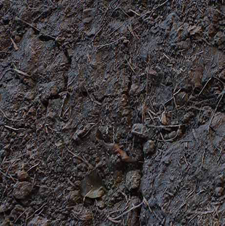 ArtStation - Dry ground