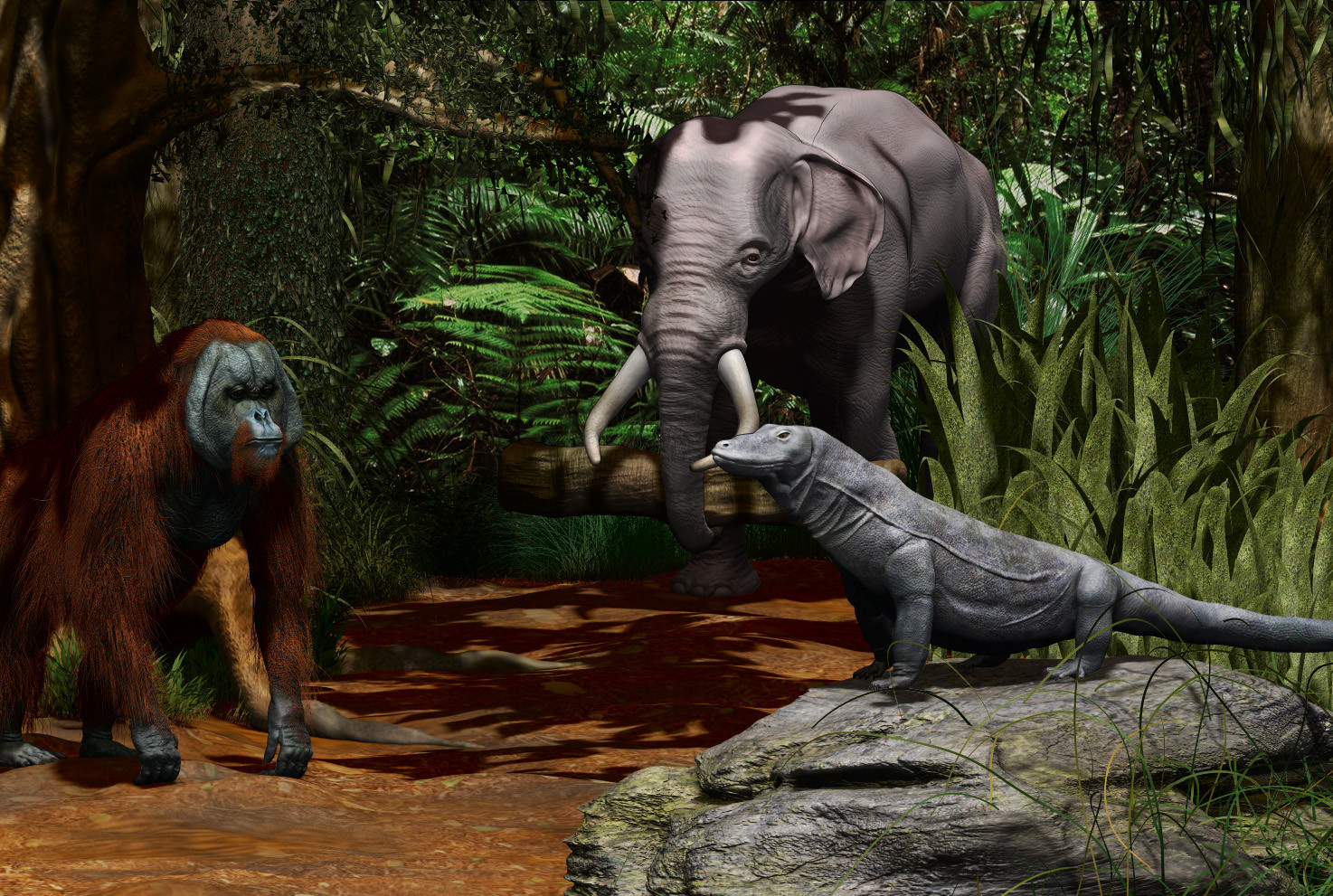 ArtStation - Rainforest