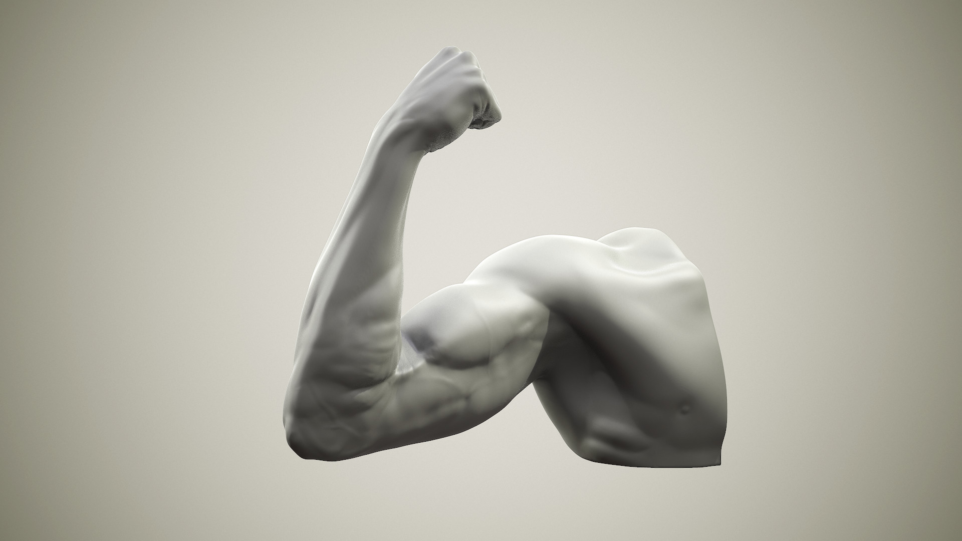 ArtStation - Arm Study