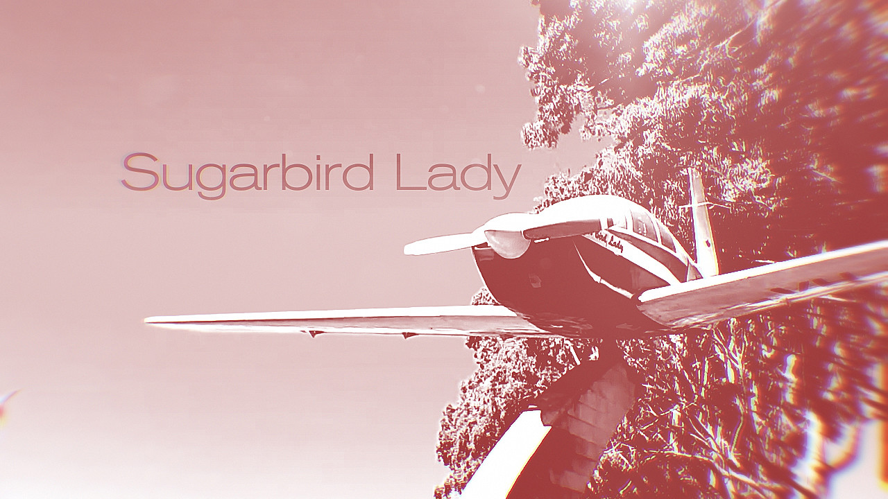 ArtStation - Sugarbird Lady