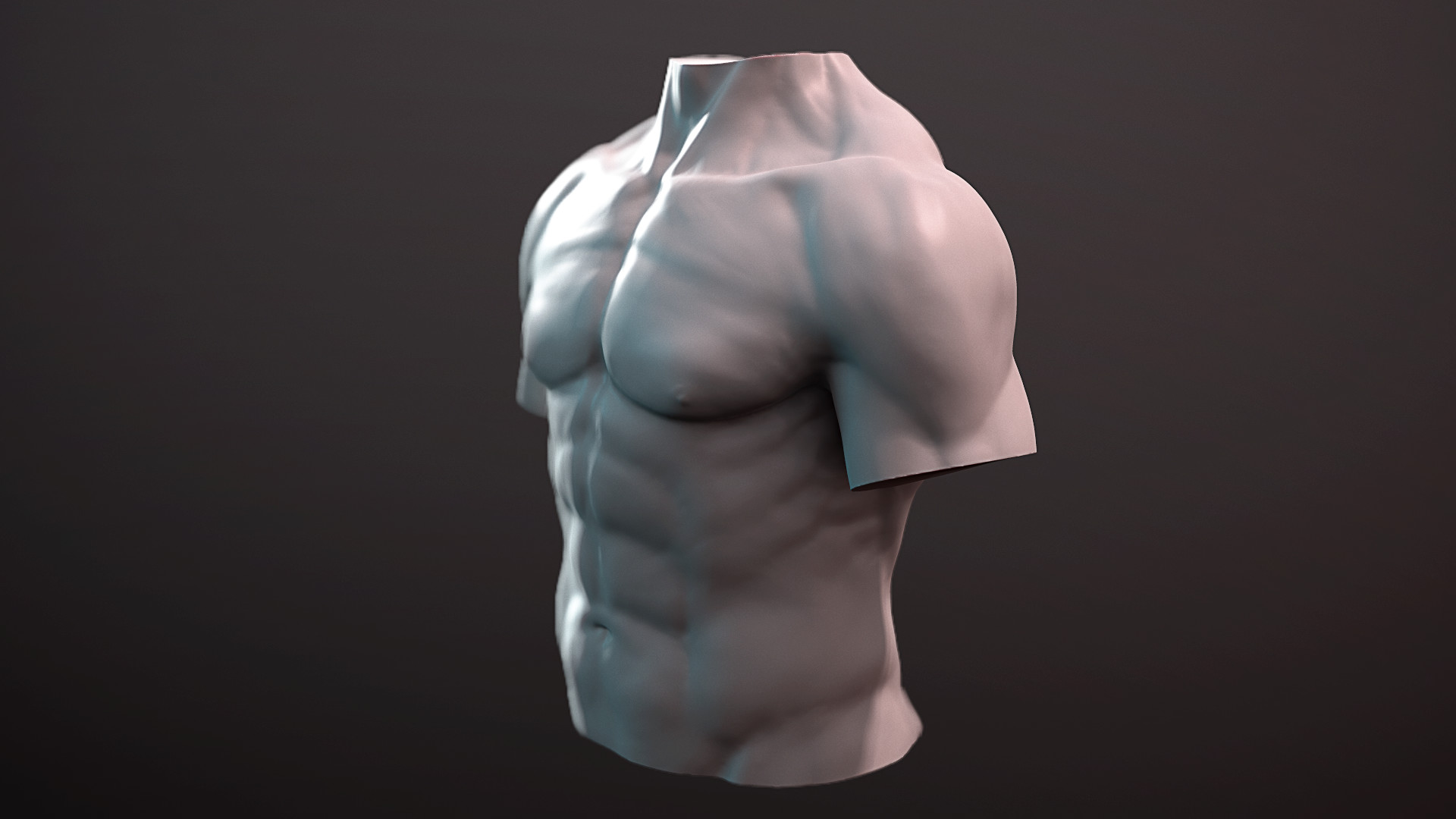 ArtStation - Anatomy Study - Torso