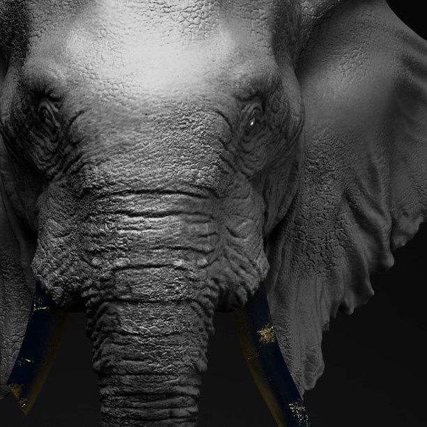 ArtStation - Elephas Maximus Sumatranus