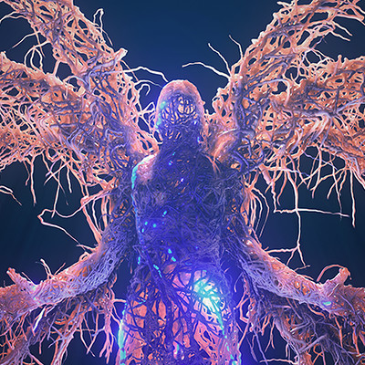 Stephen Jeal - Portfolio