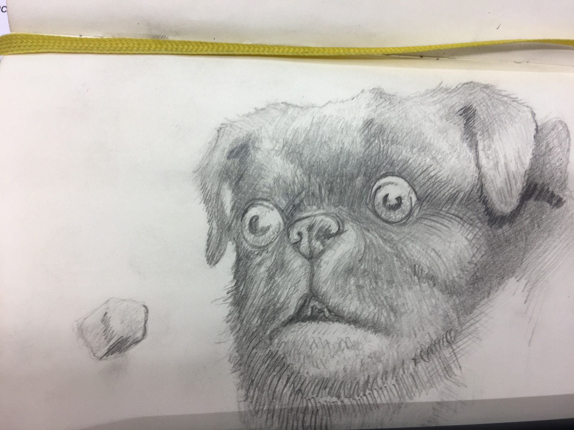 ArtStation - Dodgy sketch