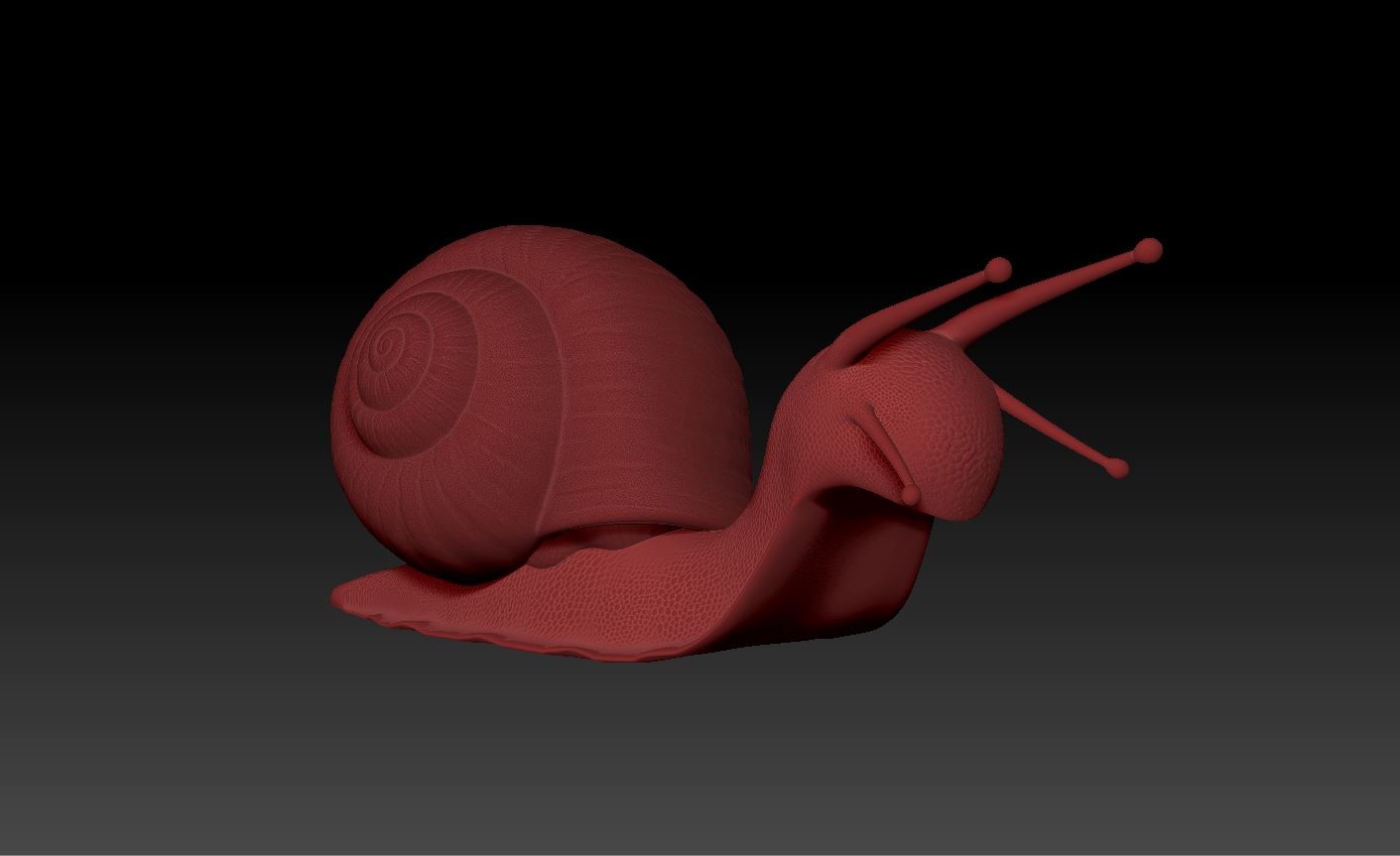 ArtStation - Snail