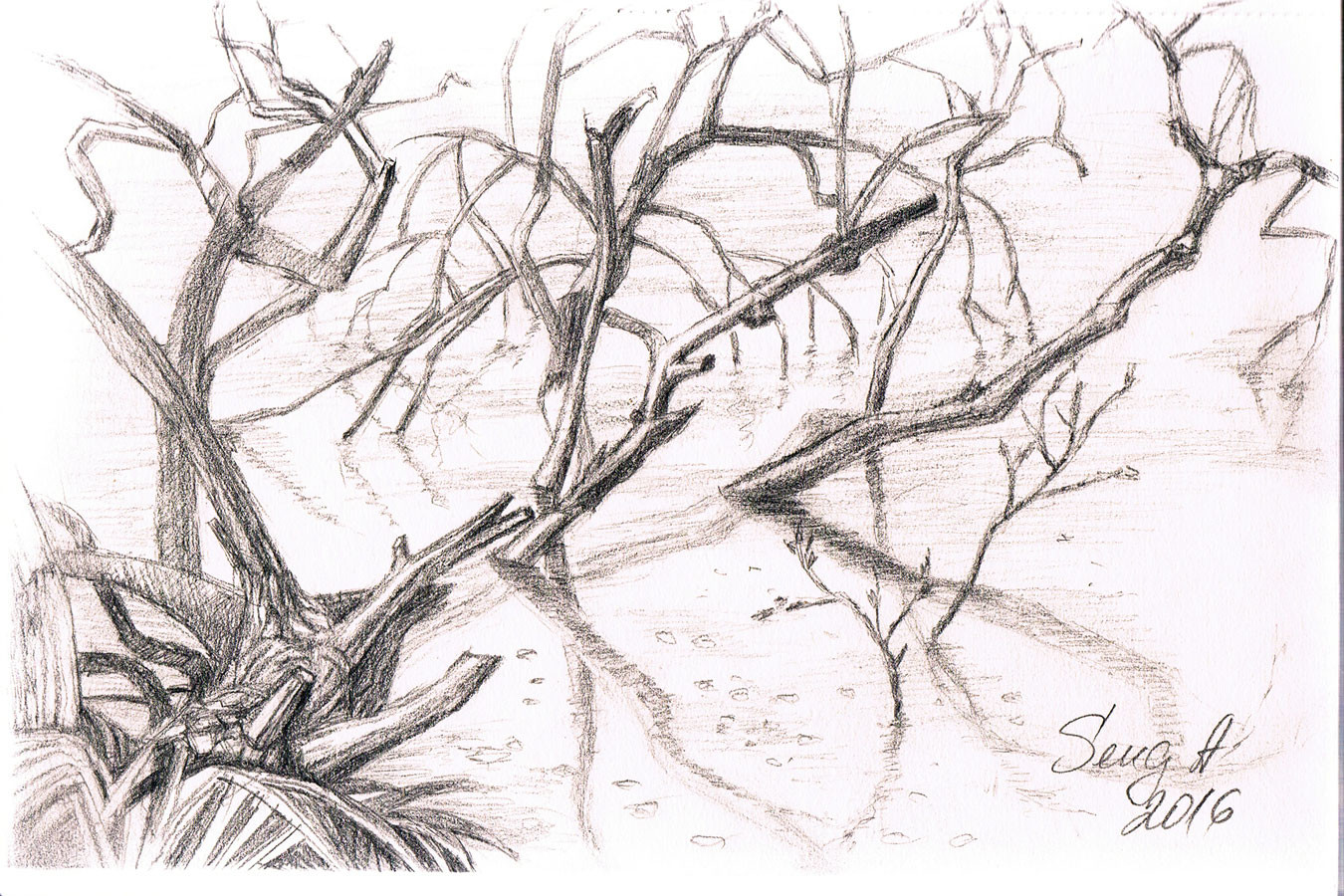 ArtStation - Tree in river