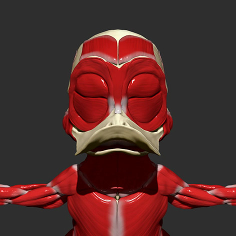 ArtStation - Donald Duck Écorché Study