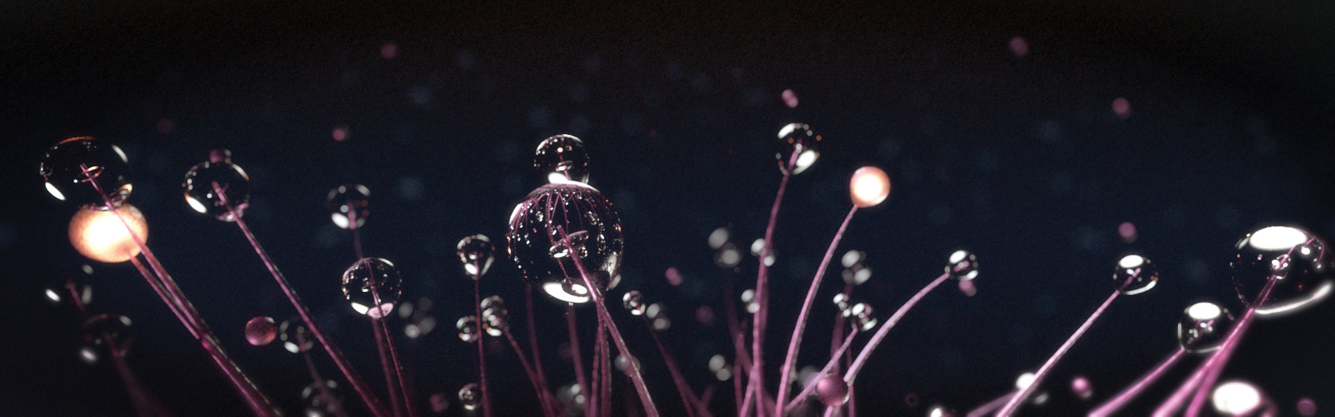 ArtStation - Macro vision