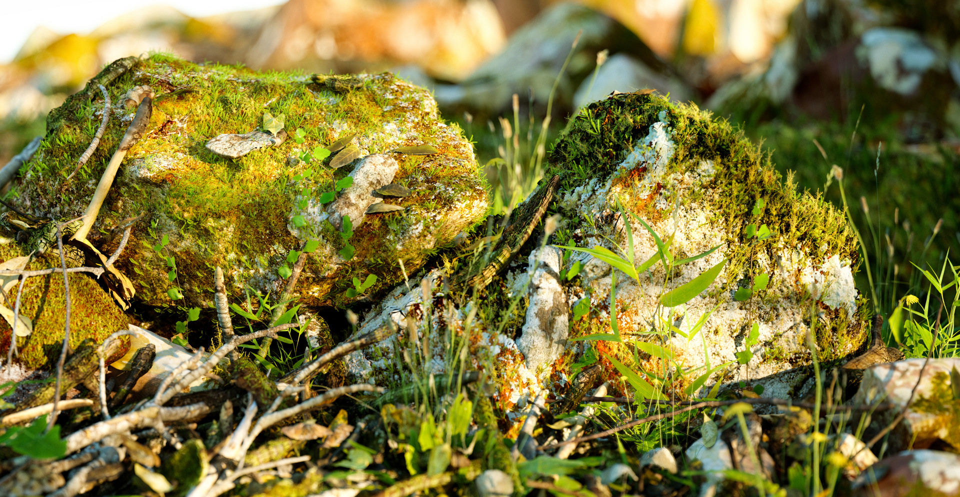 ArtStation - Stone, moss