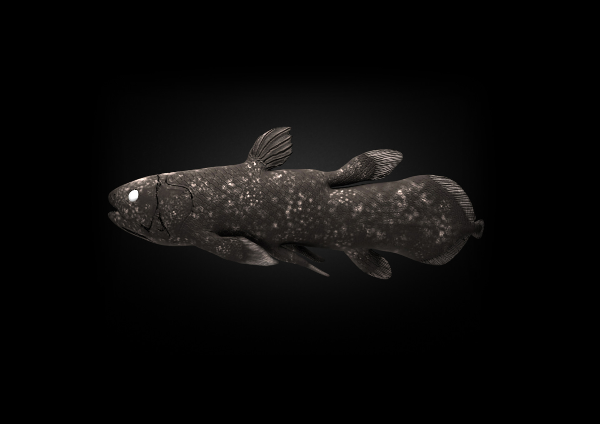 ArtStation - coelacanths