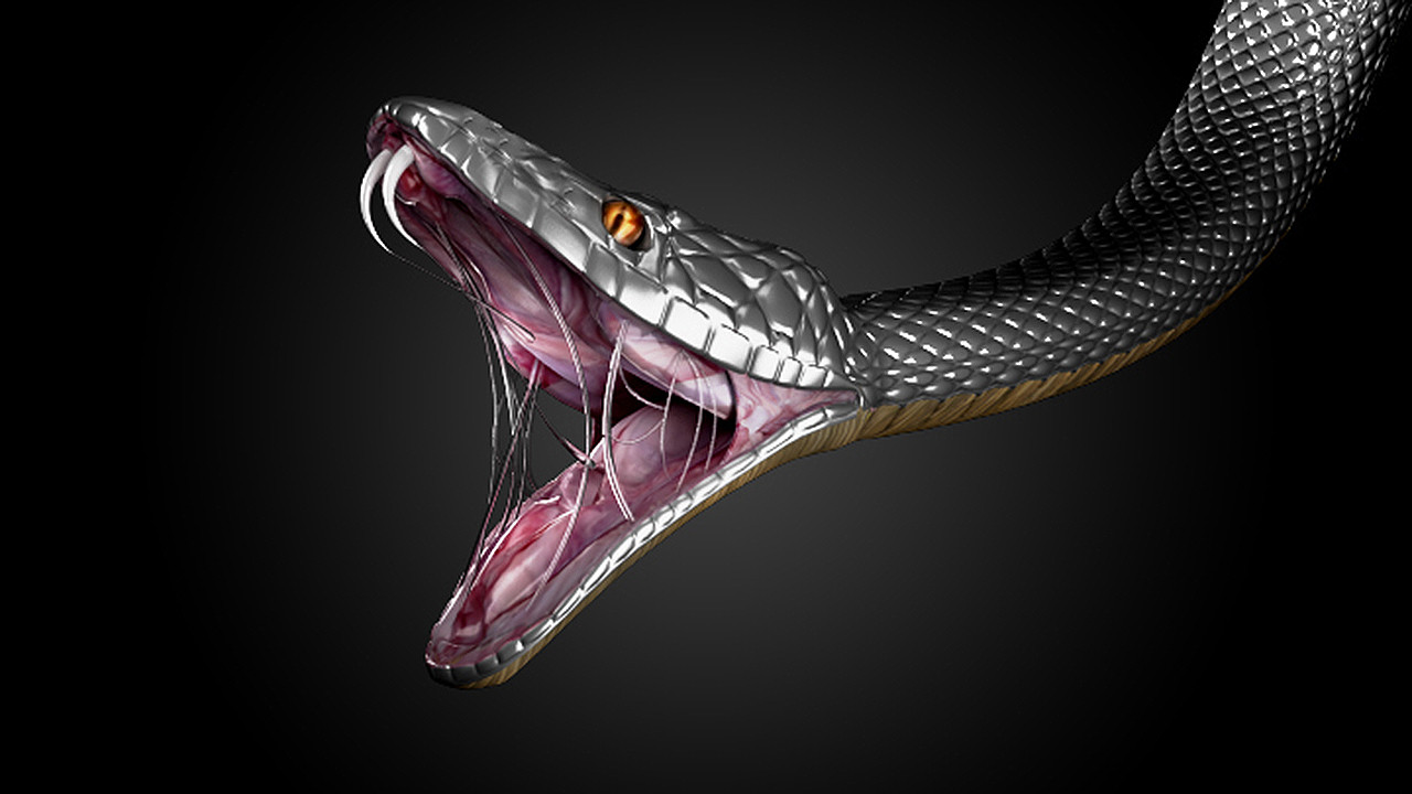 ArtStation - Lizard Model