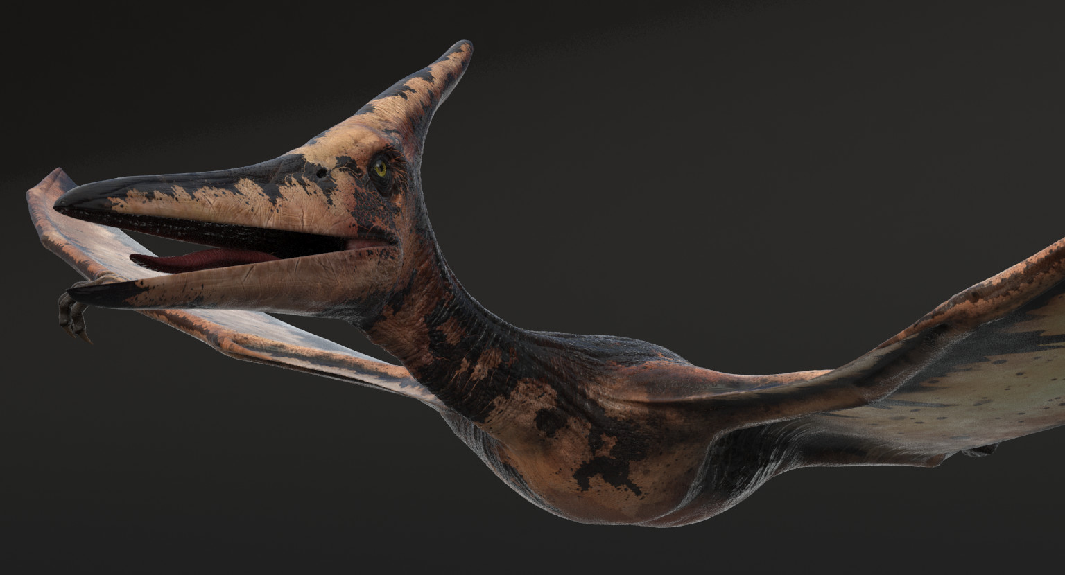 ArtStation - Pteranodon