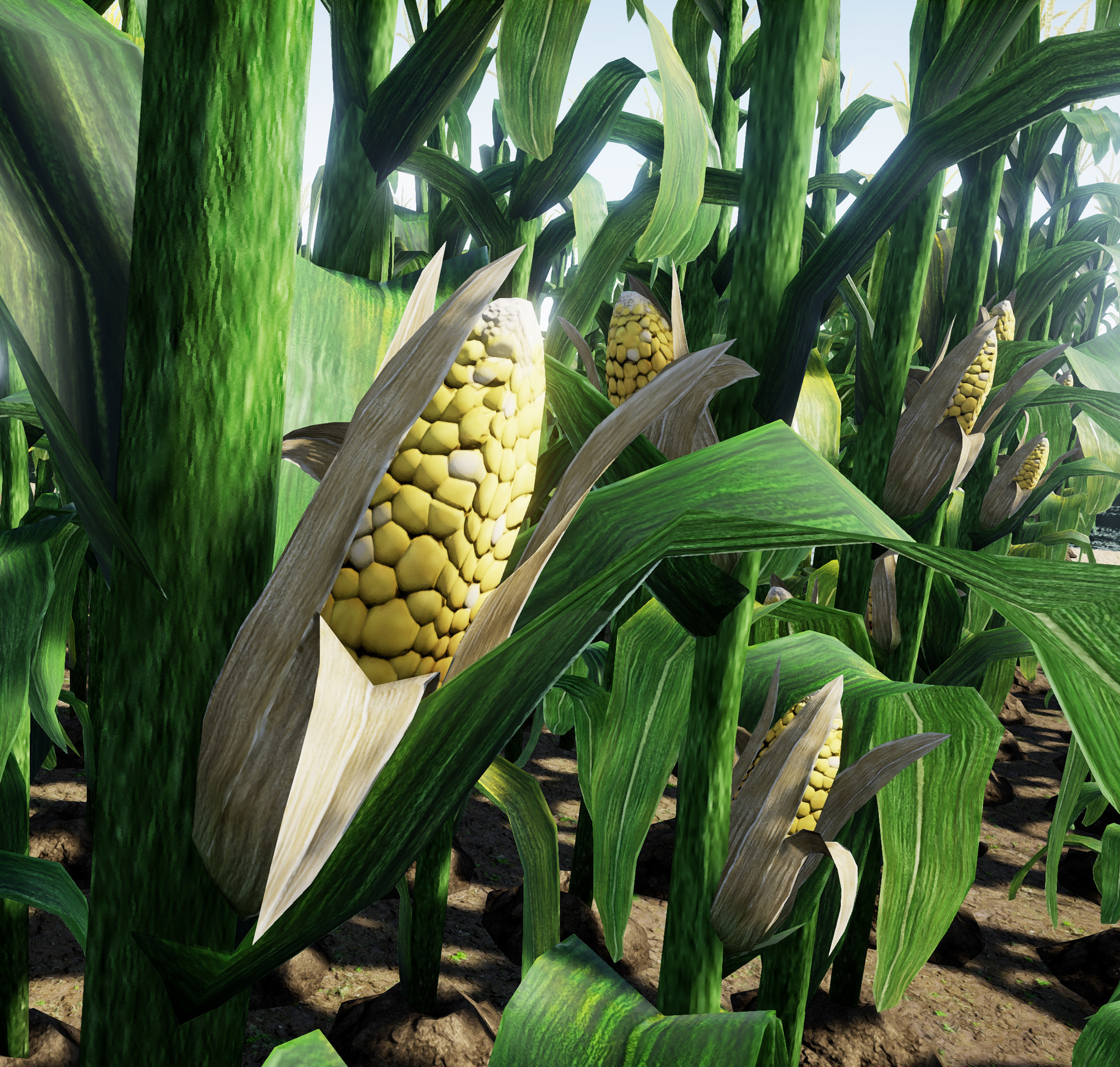 ArtStation - Maize Plant